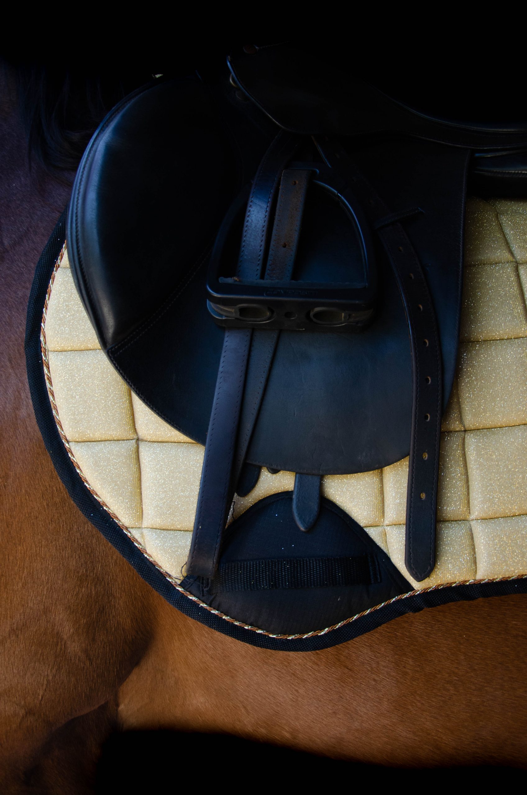 Gold Glitter GP Saddle Pad - Equidesignz