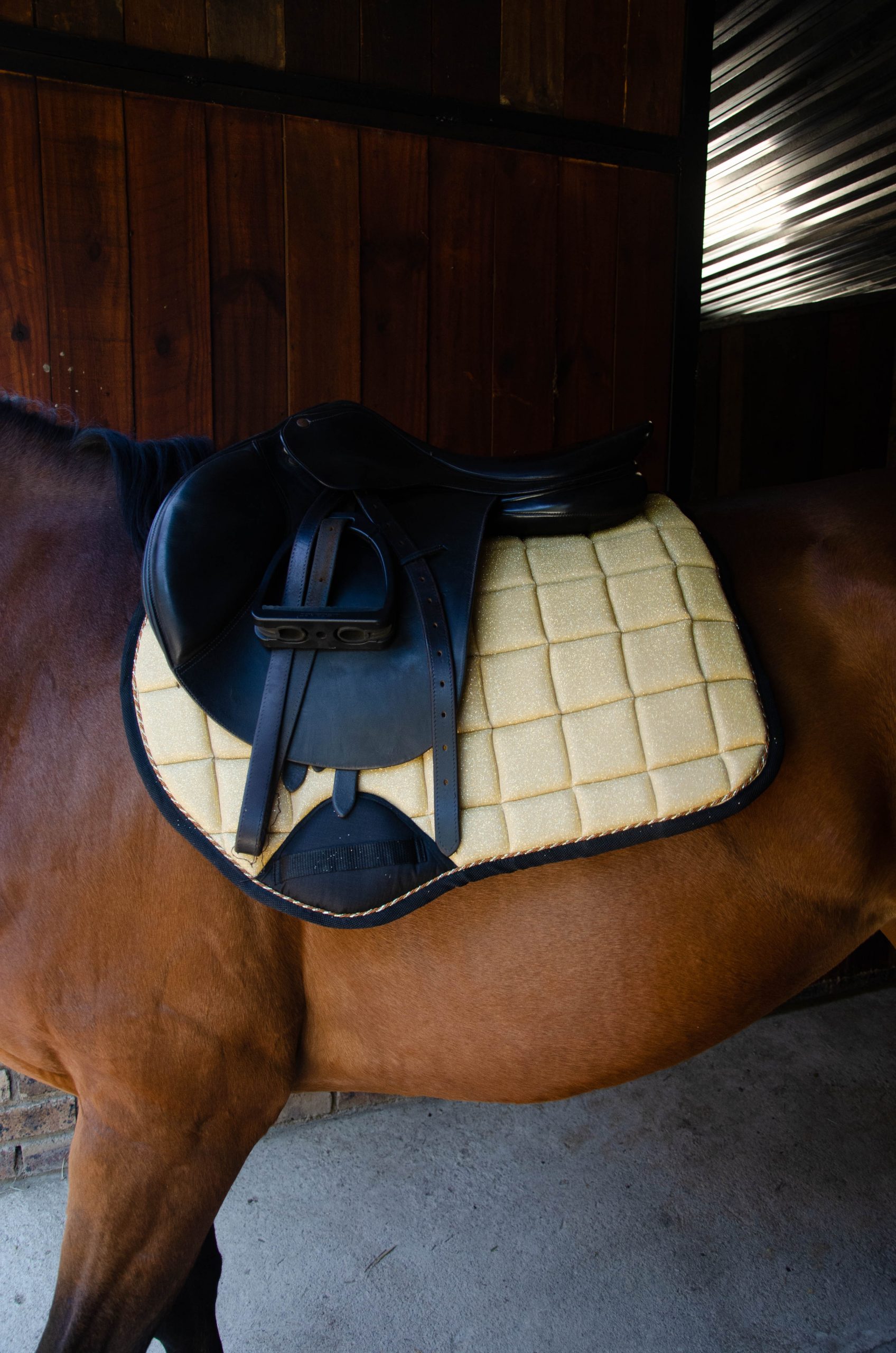 Gold Glitter GP Saddle Pad - Equidesignz